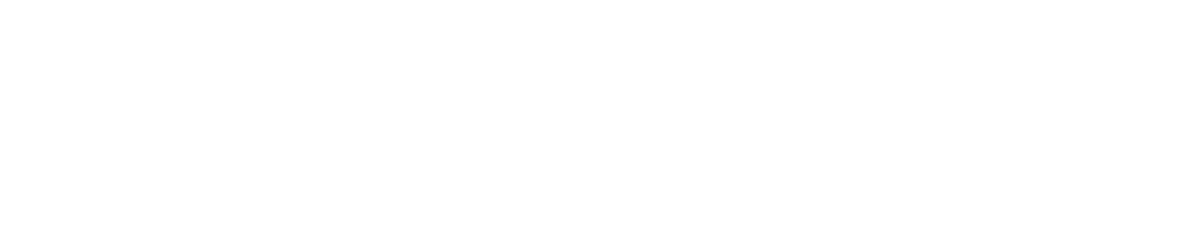 NewSpring Store logo